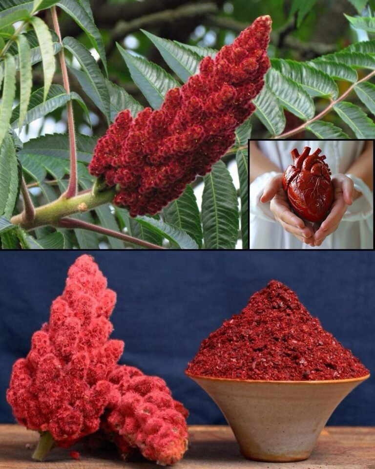 The Amazing Benefits of Sumac and How to Use It – Echo News