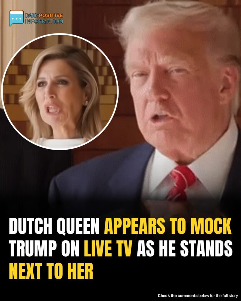 Dutch Queen Máxima’s Mimicry Of Trump At NATO Summit Sparks Viral ...