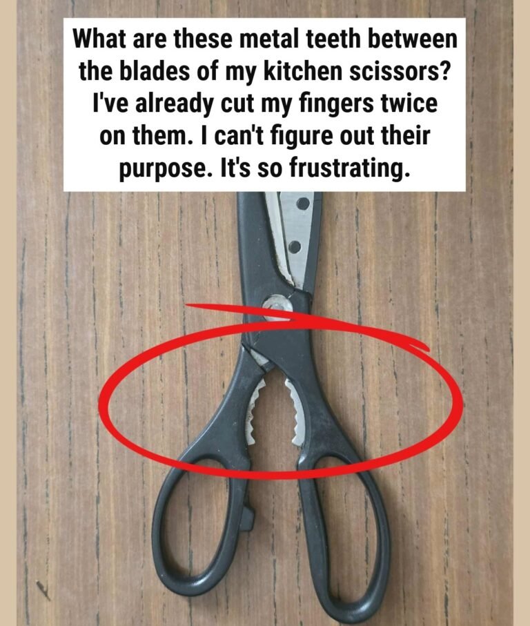 What’s the Purpose of the Strange Serrated Section on Kitchen Scissors ...